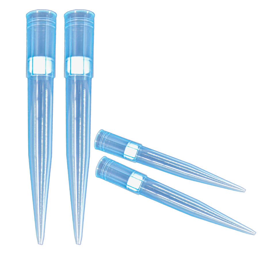 FILTER TIP 1,000μl BLUE | Agarindo Biological Company