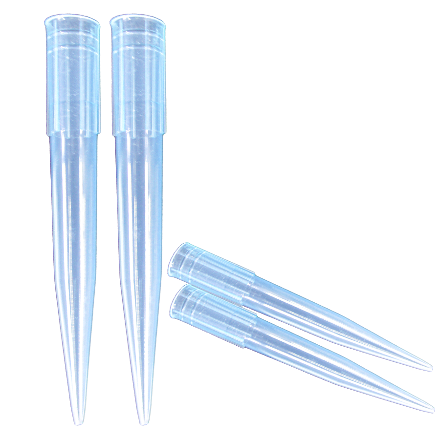 GILSON PIPETTE TIP 1,000μl BLUE | Agarindo Biological Company